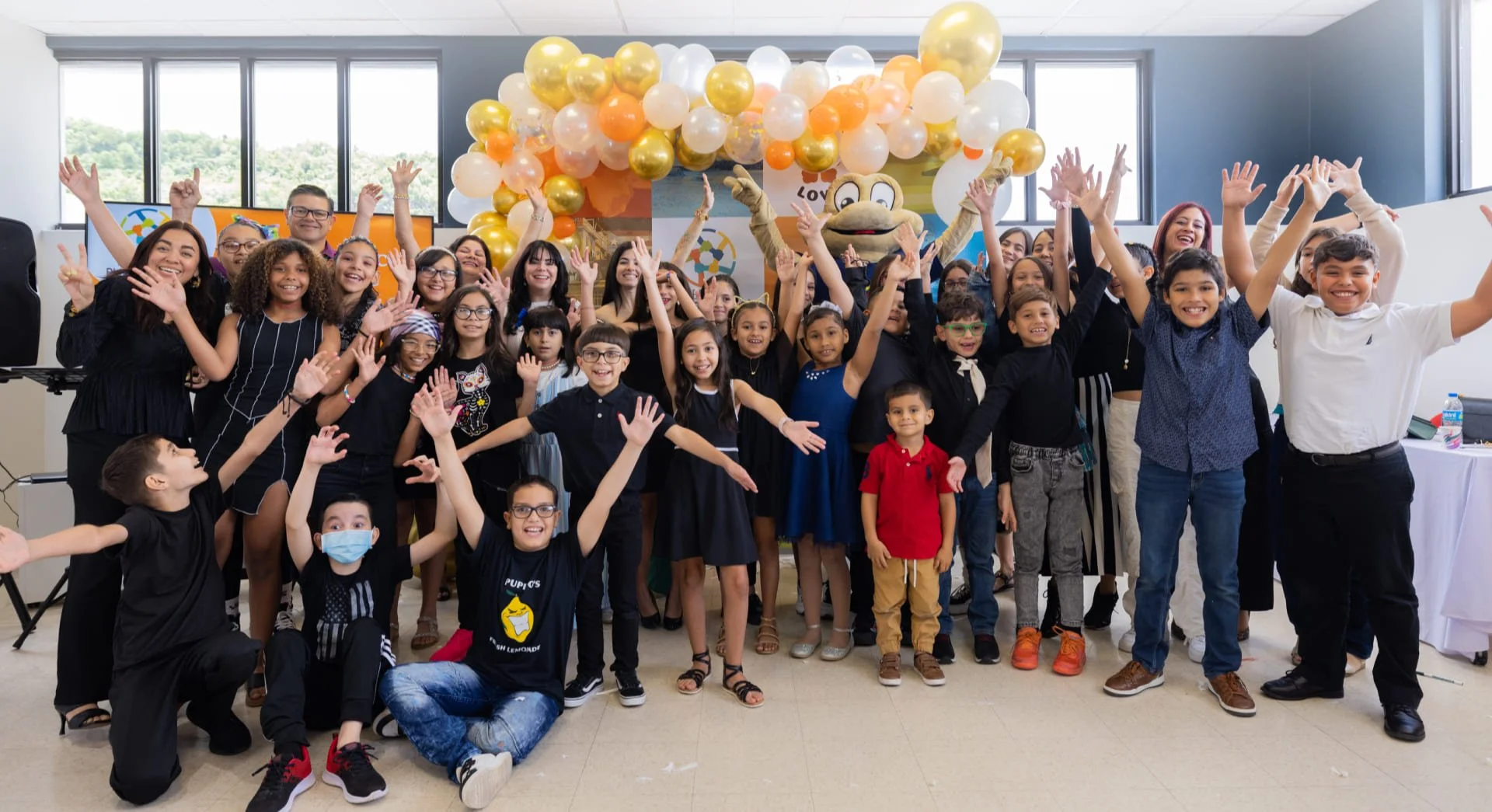 About Us | Friends Of Puerto Rico