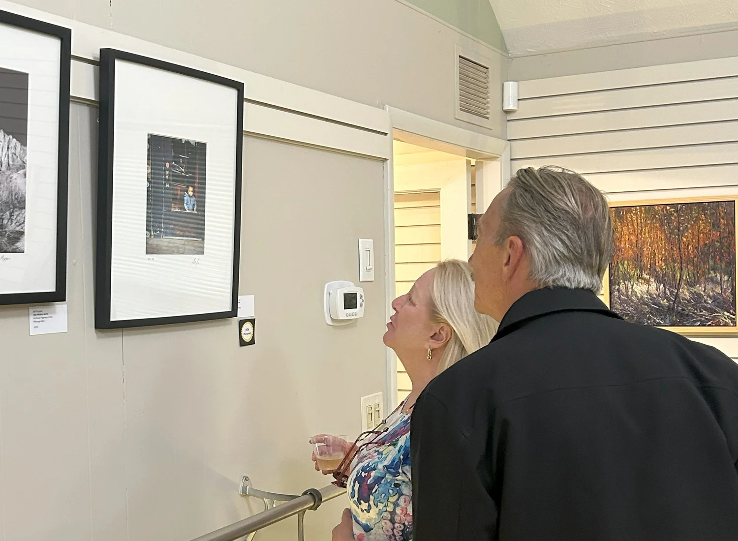 Novelty Art Exhibitions — Fairmount Center for the Arts