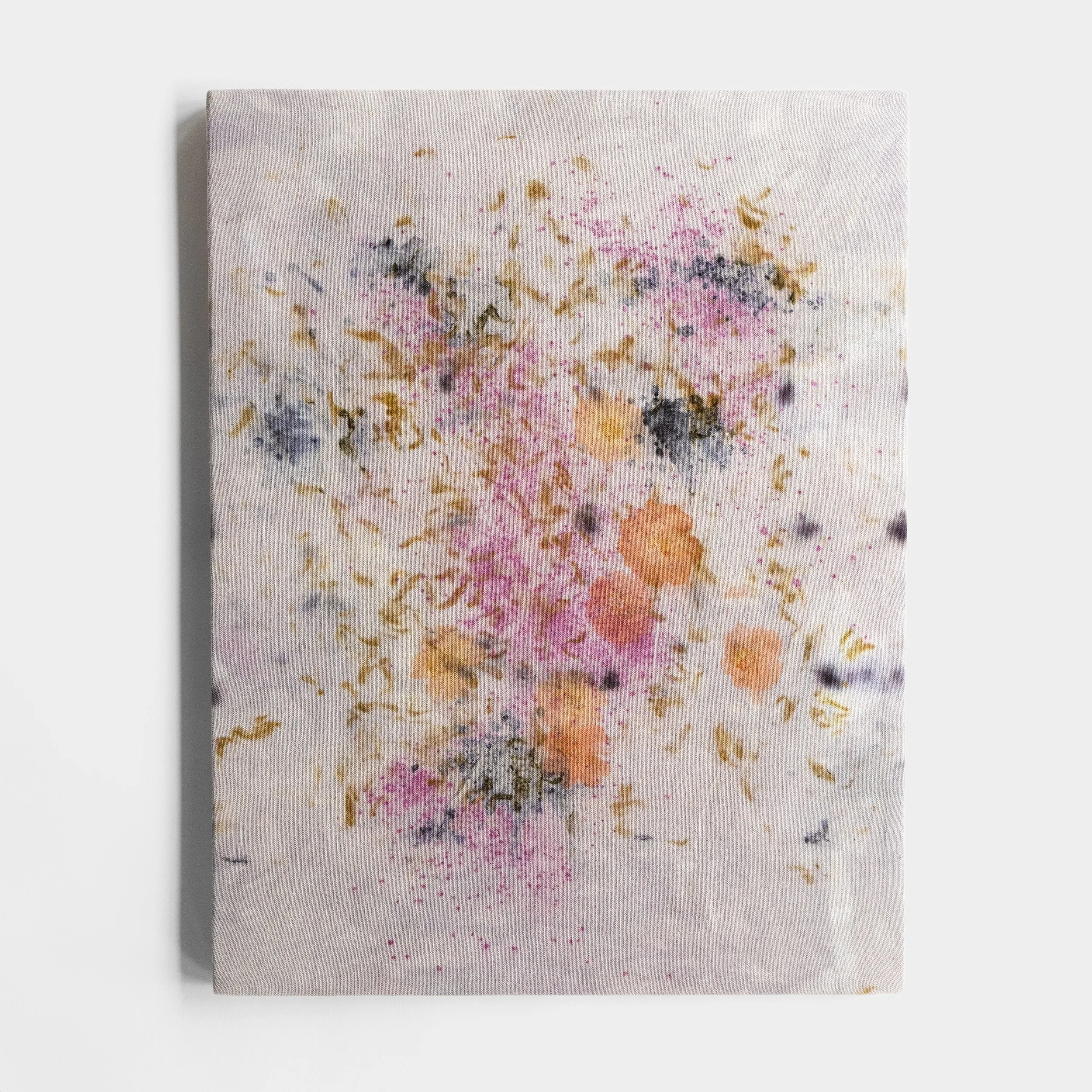 Novelty Art Exhibitions — Fairmount Center for the Arts