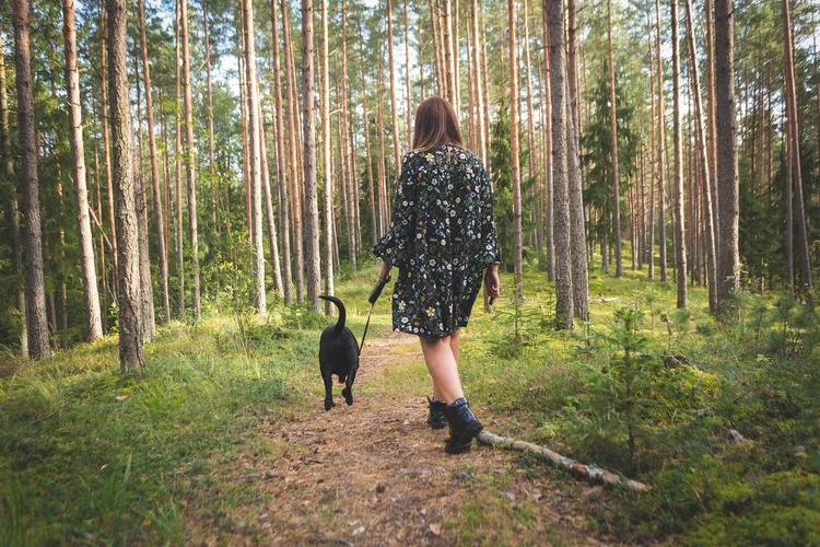 Self Care is Not Just Treating Yourself: Making Time and Space for Self ...
