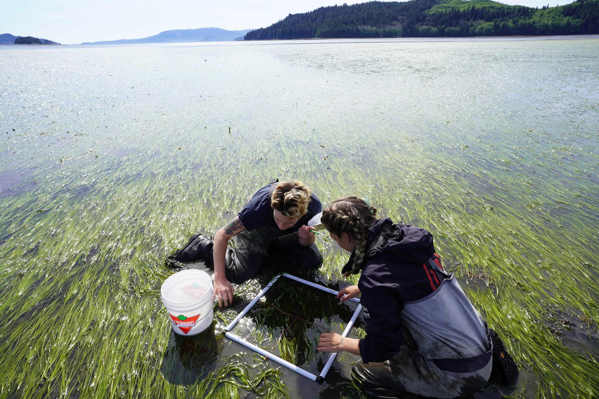 Habitat Protection and Restoration — CHN Marine Planning