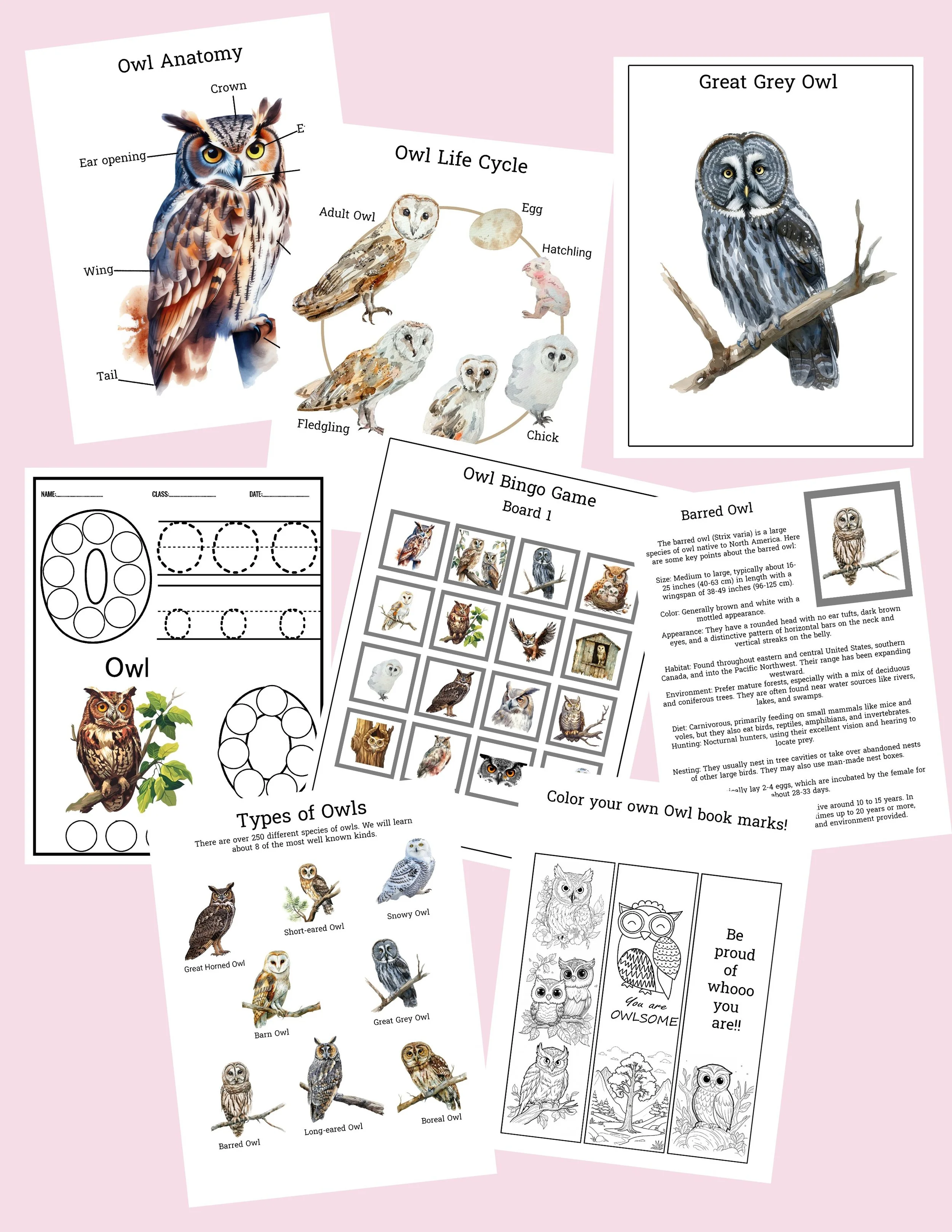 Owl Unit Study — Amy's Digital Printables