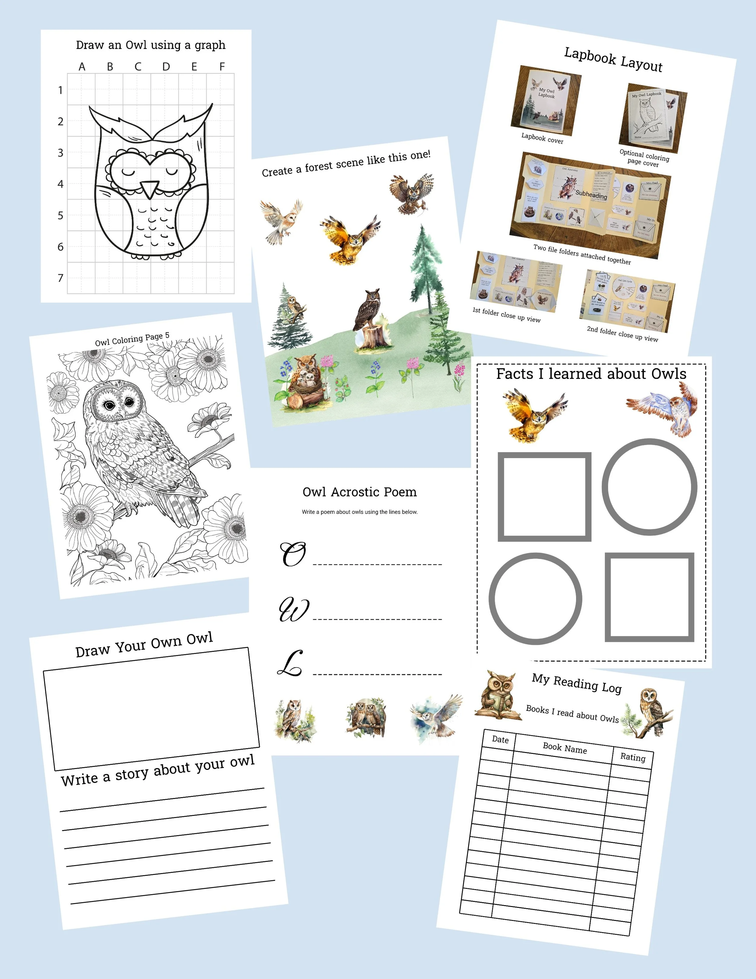Owl Unit Study — Amy's Digital Printables