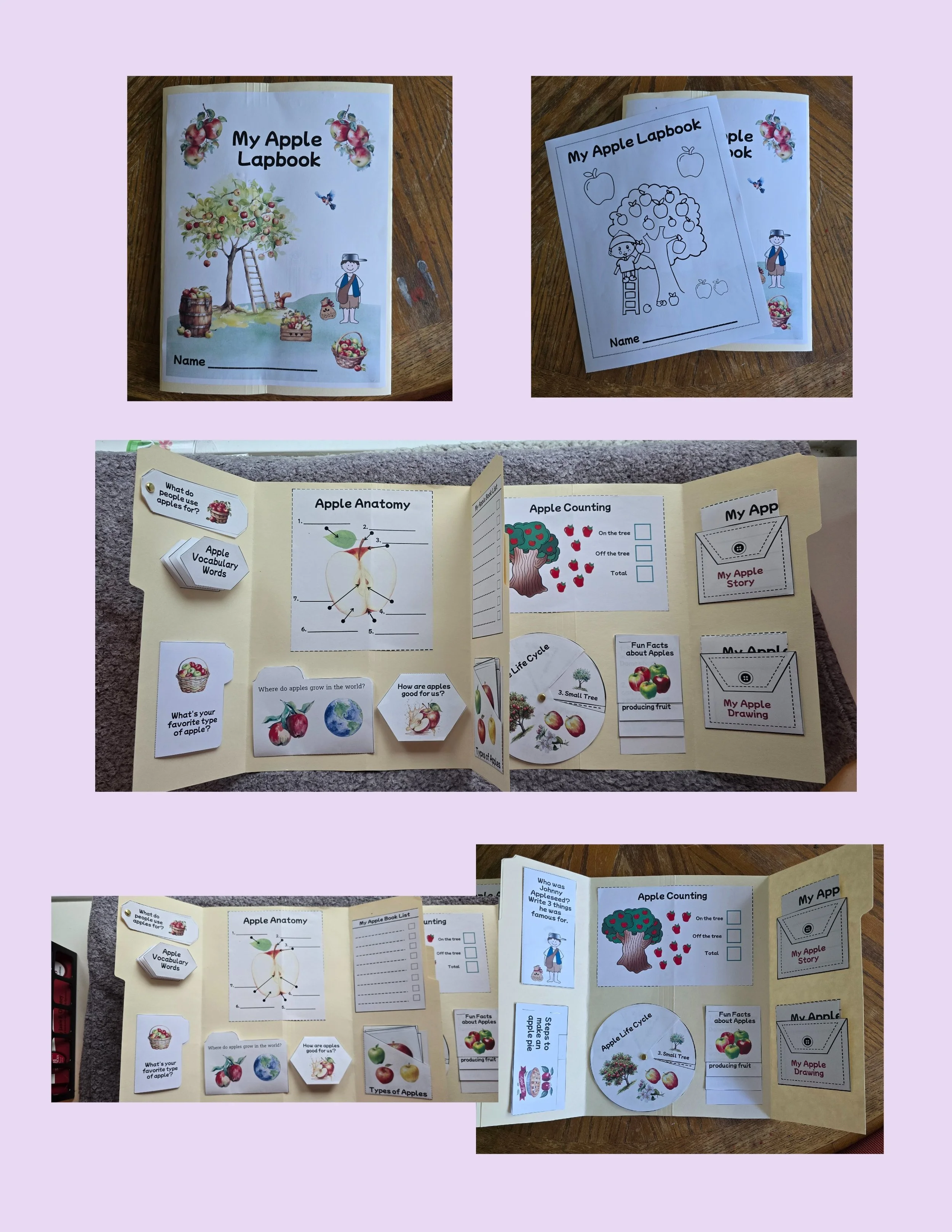 Apple Unit Study — Amy's Digital Printables
