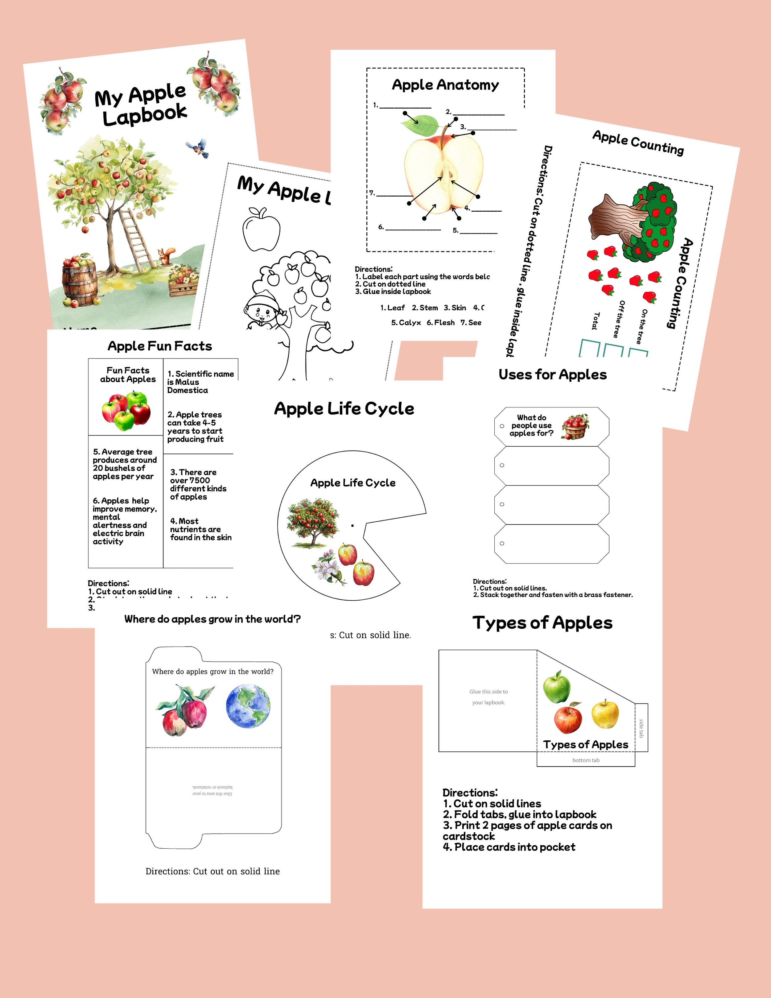 Apple Unit Study — Amy's Digital Printables