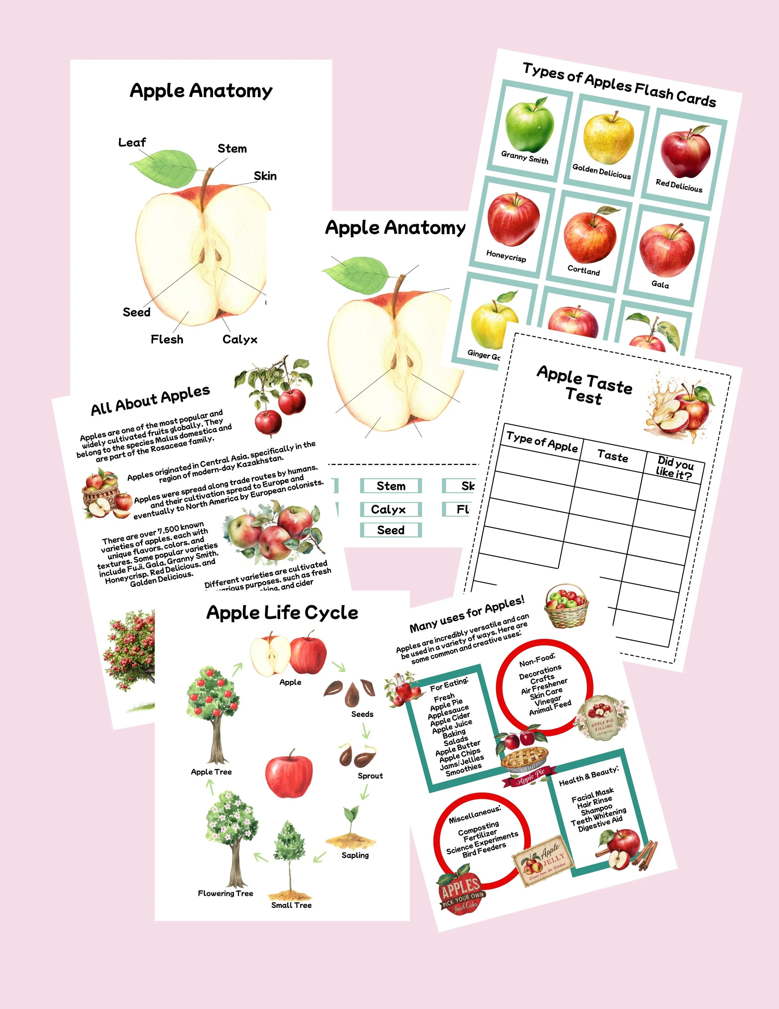 Apple Unit Study — Amy's Digital Printables