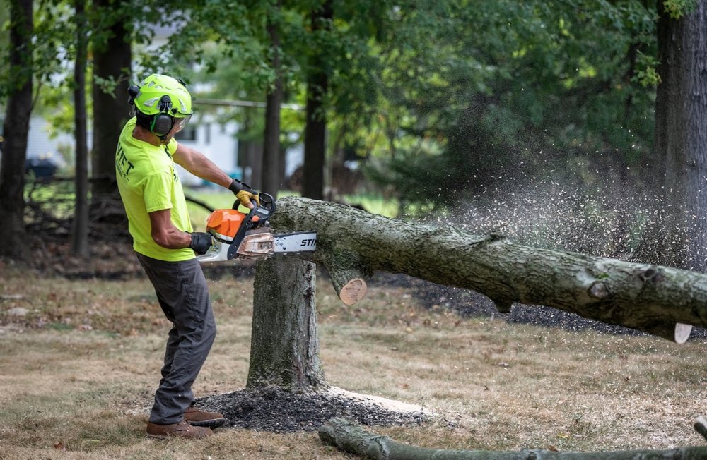Swift Tree Service - Expert Tree Care in Northeast Ohio