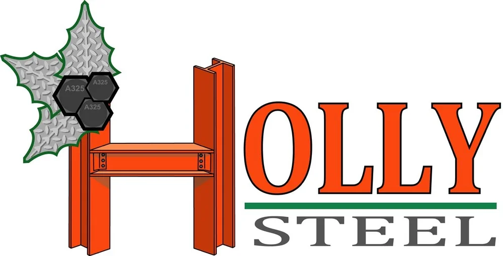 About — Holly Steel