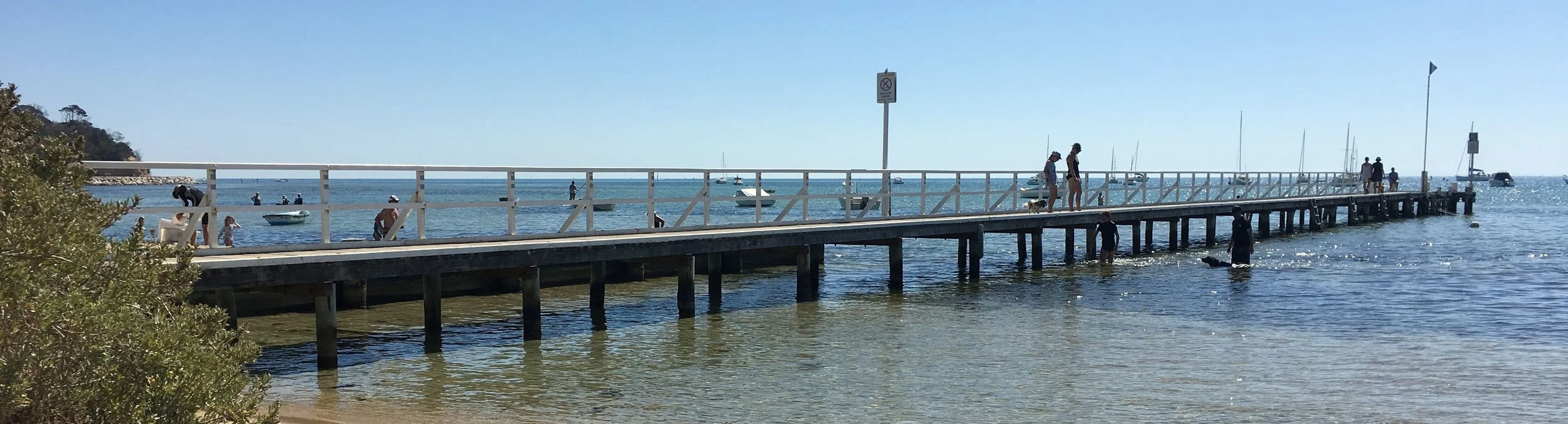 Independent 4 Flinders