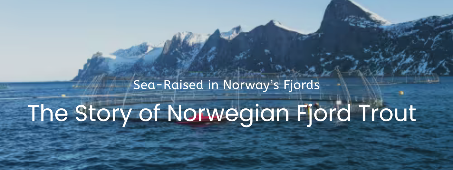 Sea-Raised in Norway’s Fjords — AOS