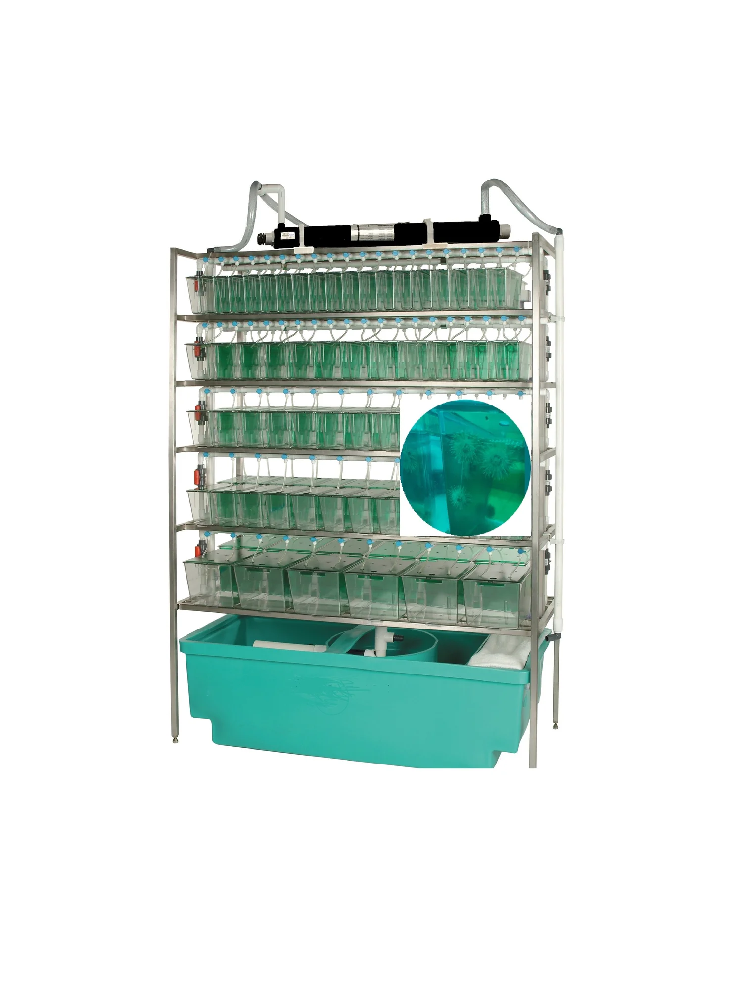 Salt Water Rack — Aquaneering