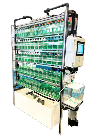 Revolutionizing Zebrafish Research: Introducing Aquaneering’s Next ...