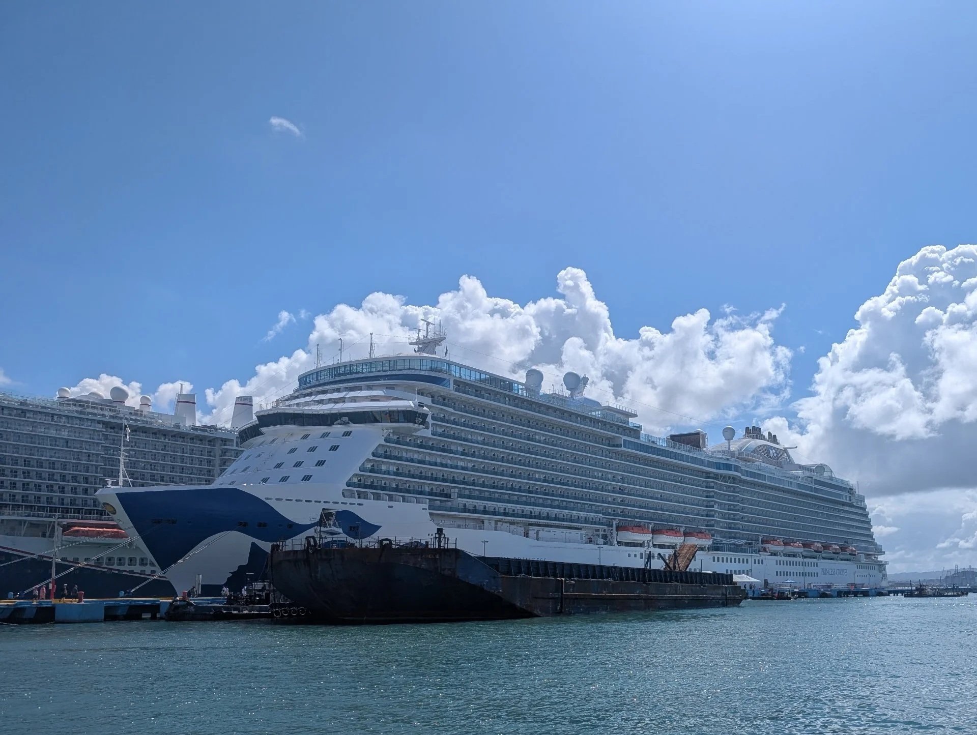 Princess Cruises Standard Fare — No Point Left Behind