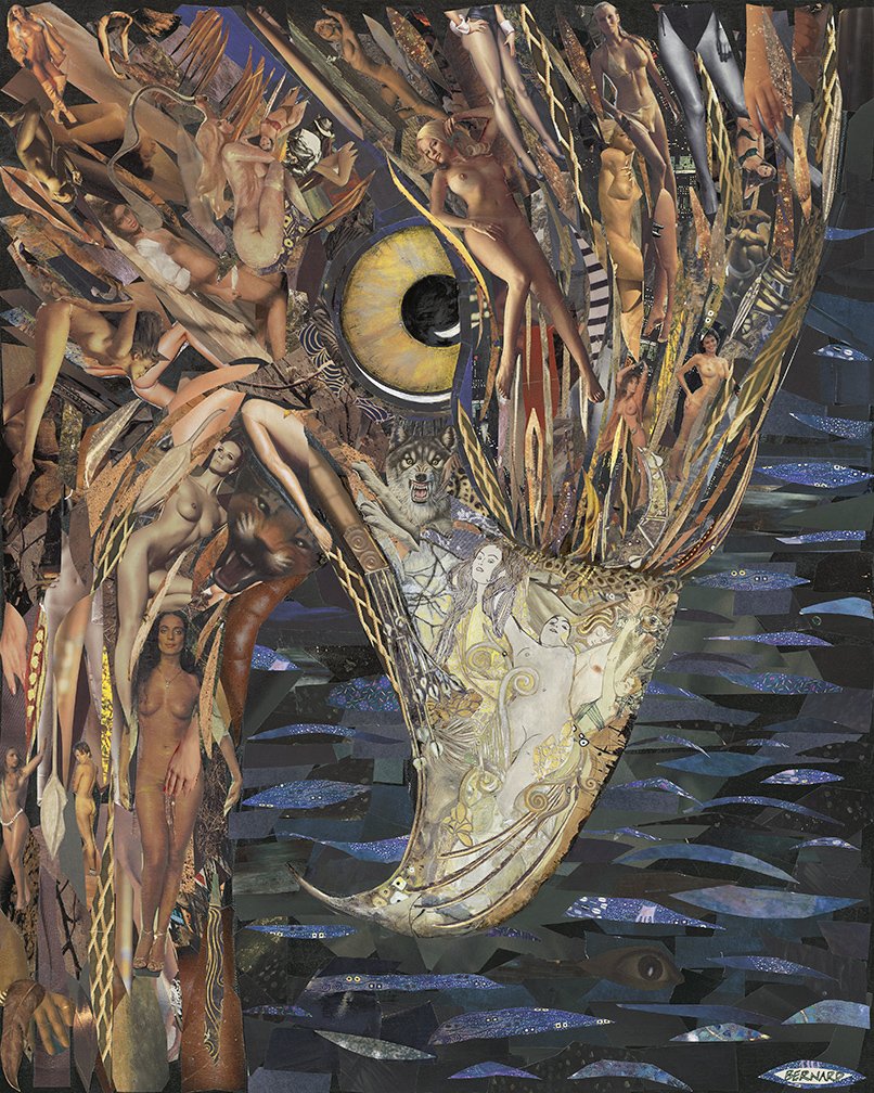 Hawk Eye — Mitzi Bernard Art