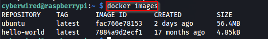 Docker Containers on Raspberry Pi 4 — Cyber Wired