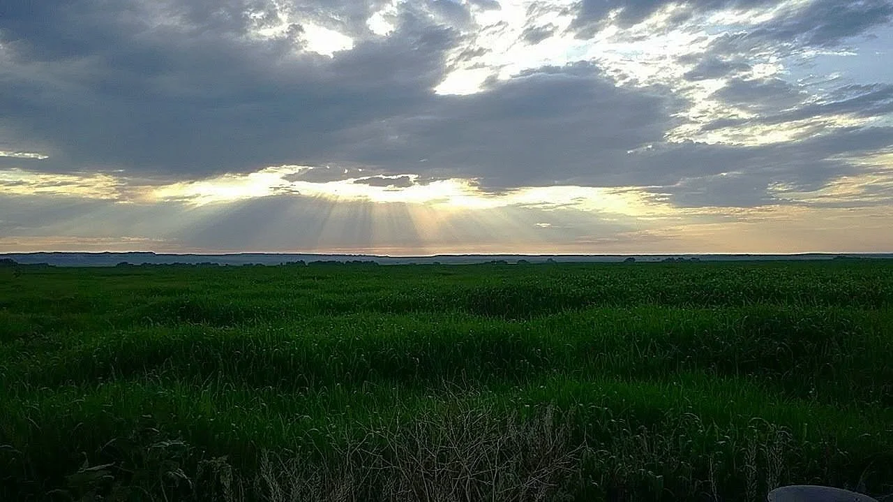 Chapman Family Farms & Dairy - Henry, Nebraska