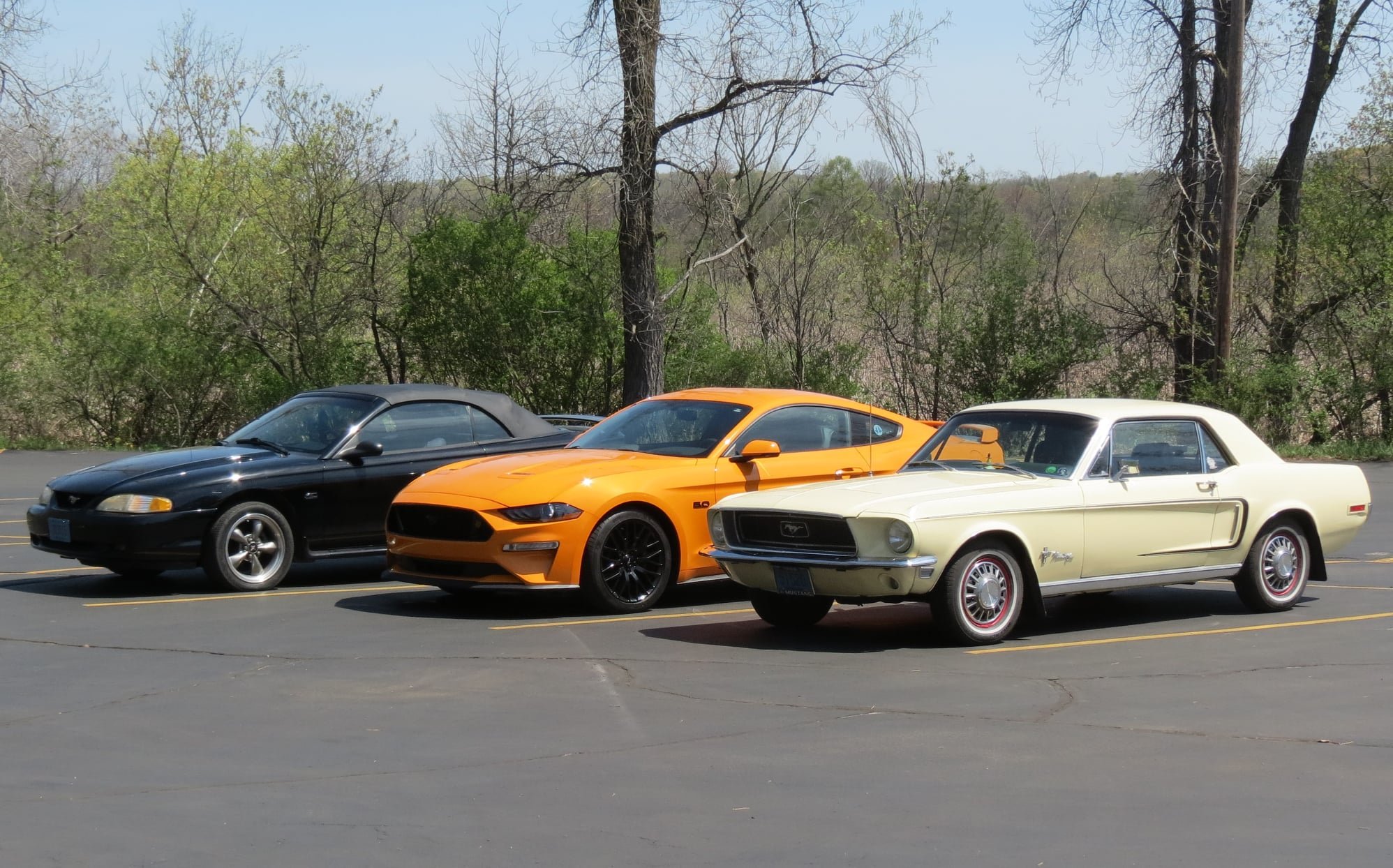 Wisconsin Early Mustangers