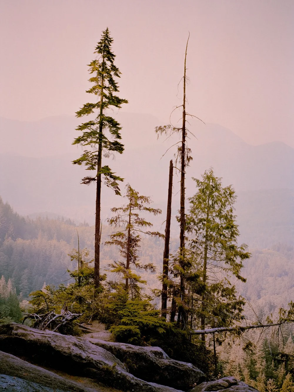 CASCADIA — Cody Cobb – Photographer