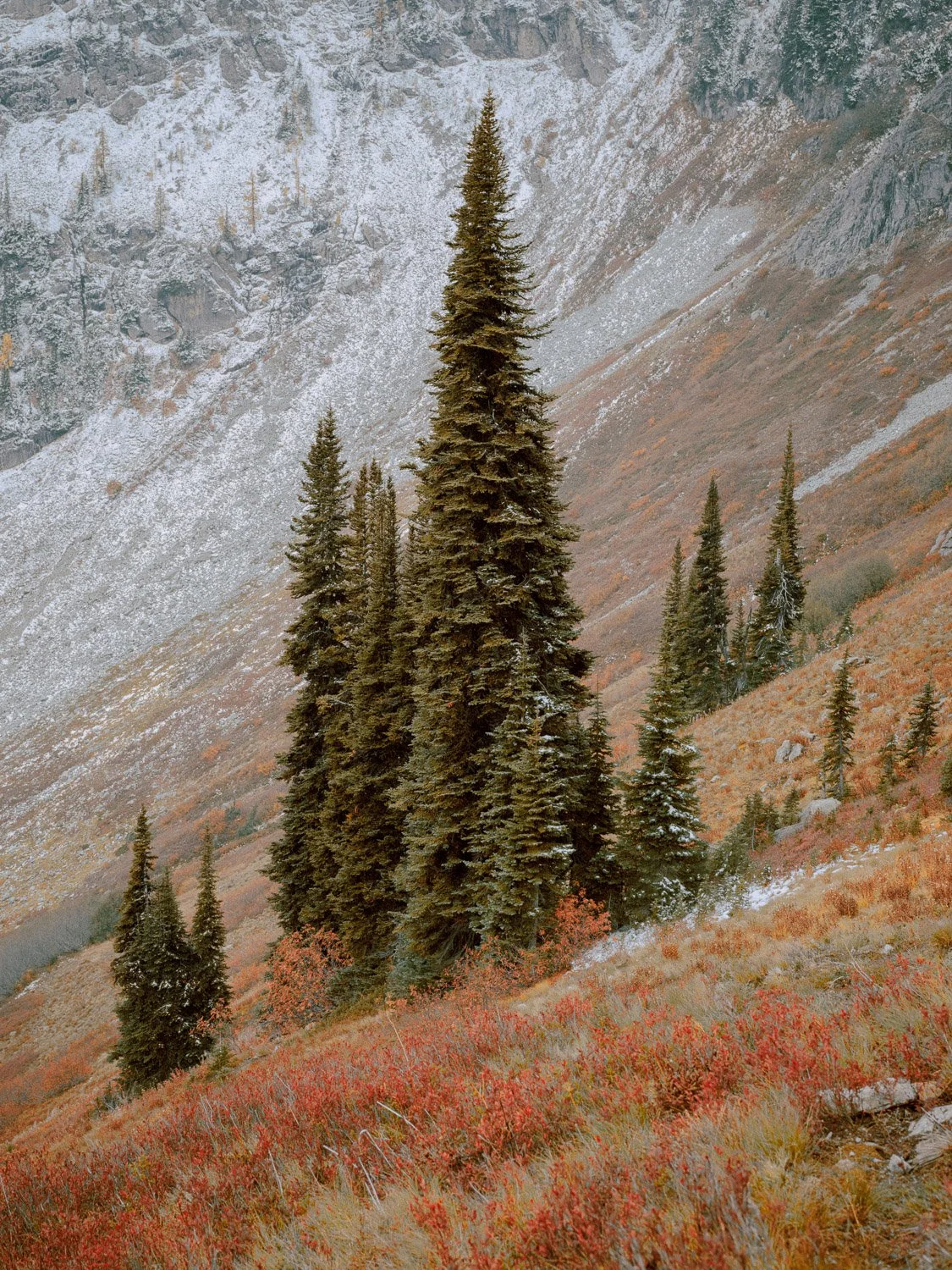 CASCADIA — Cody Cobb – Photographer