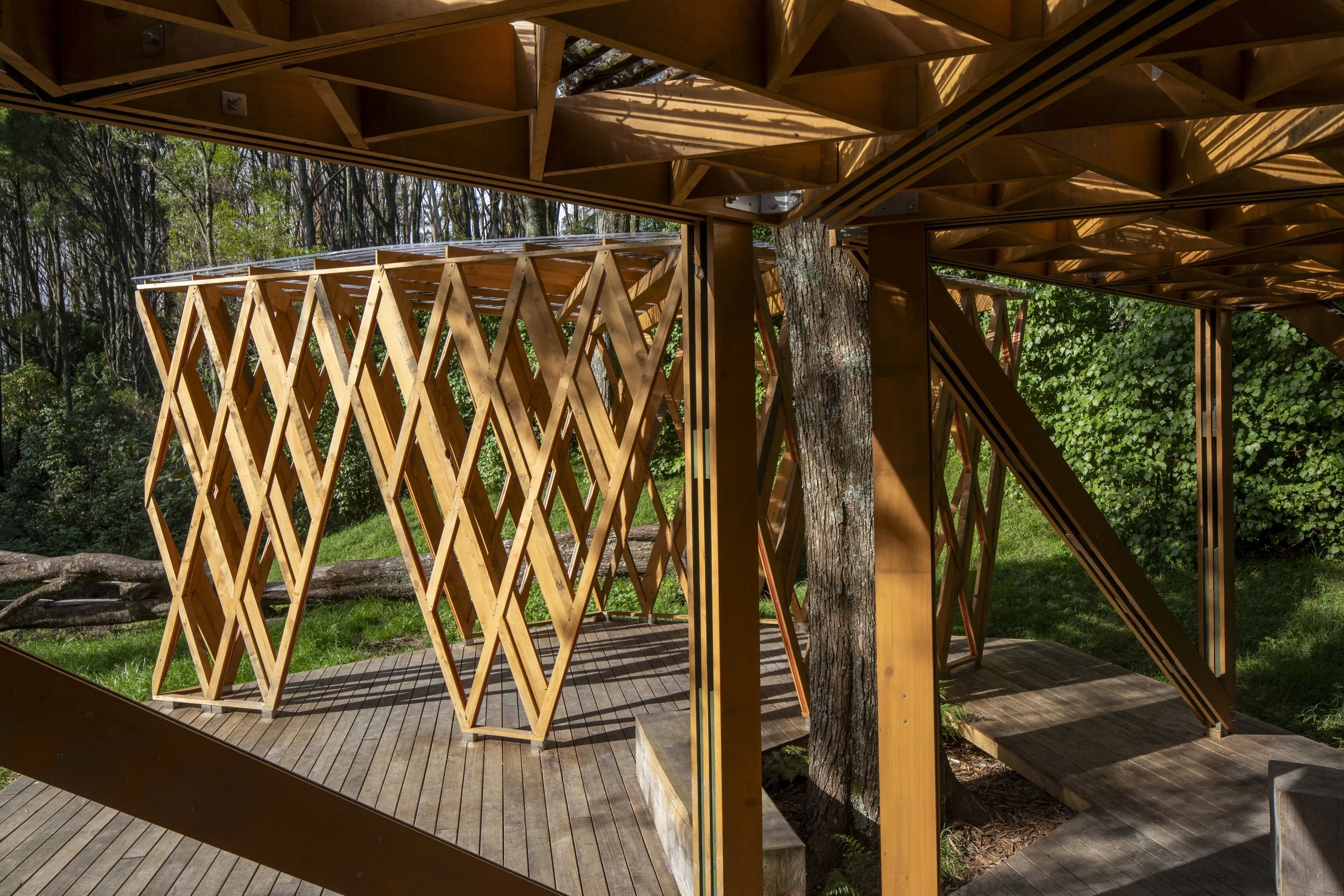 Summerhill Student Structures — Summerhill Timbers