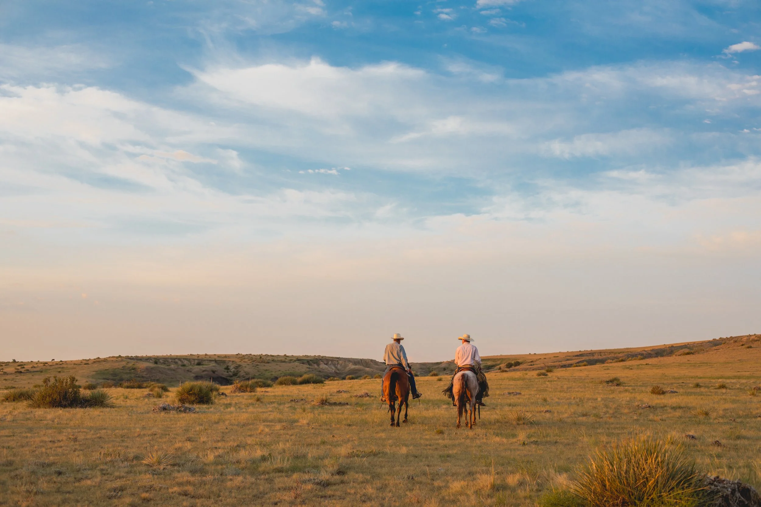 44 Ranch | Discover Quality, Join Us Today