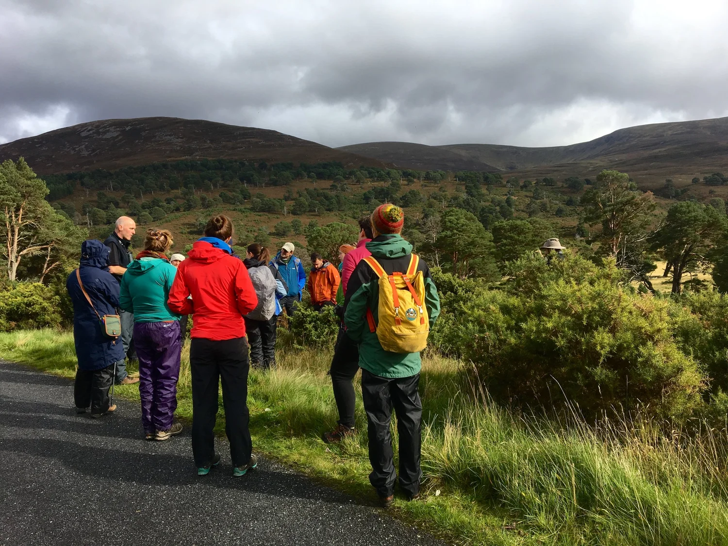 Landscape Learning — Landscape Ecology UK