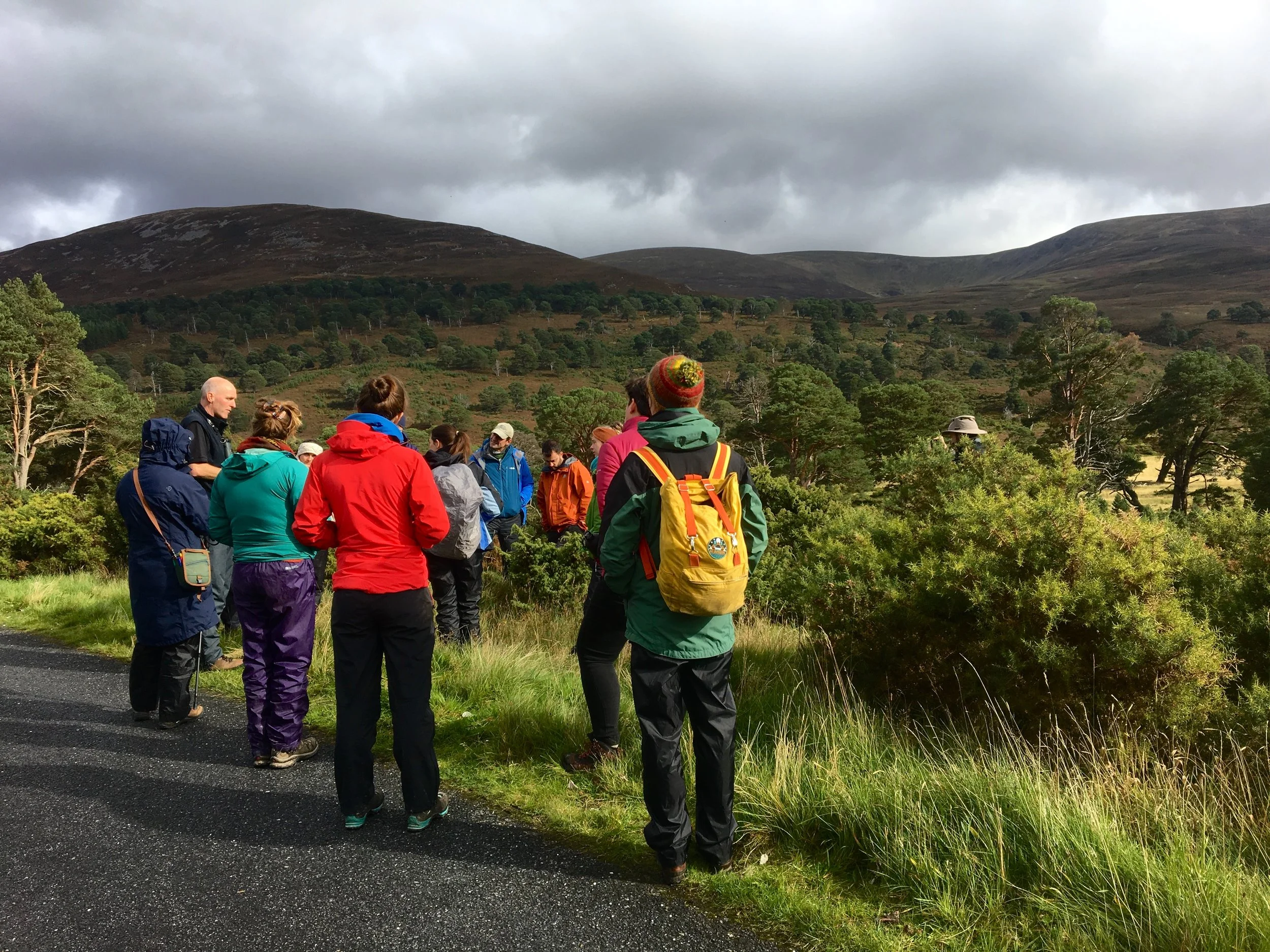 Landscape Learning — Landscape Ecology UK