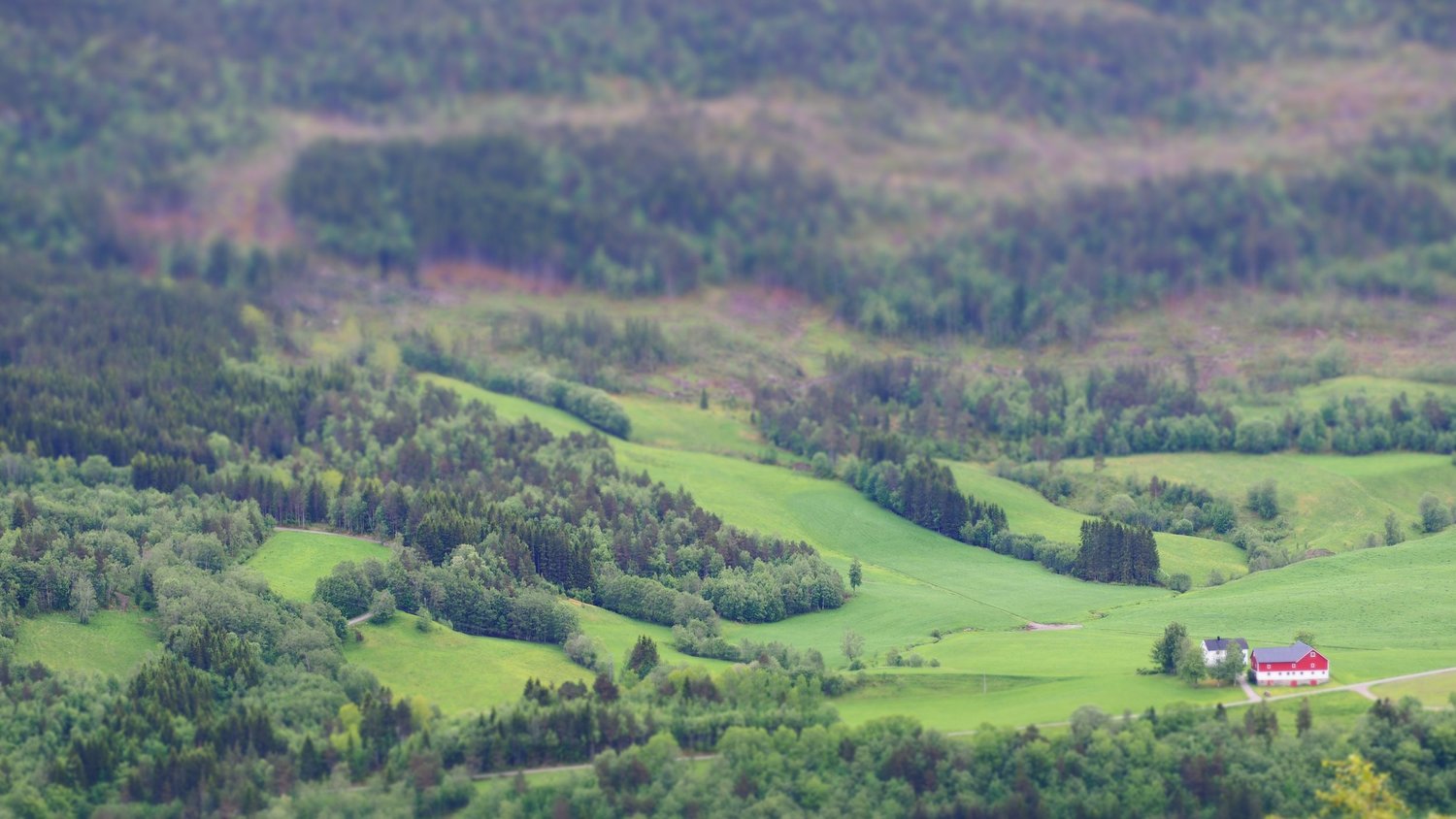 Landscape Ecology: An Overview — Landscape Ecology UK