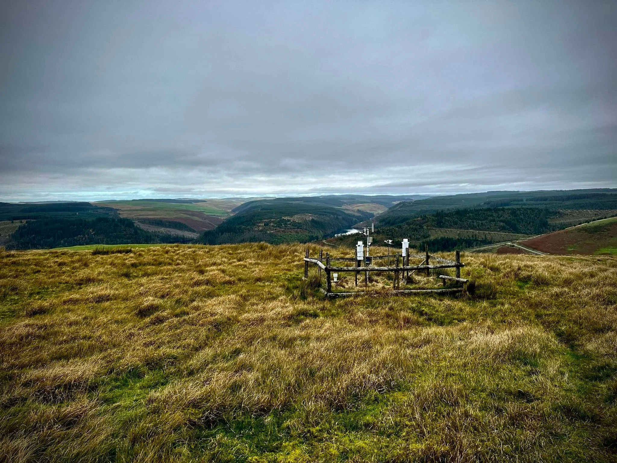 2025: Monitoring Ecosystem Recovery at the Landscape Scale — Landscape ...