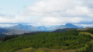 Landscape Ecology: An Overview — Landscape Ecology UK