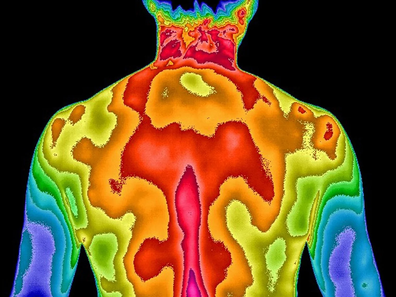 Thermography | Discover Your Health Insights — Jolliffe Institute