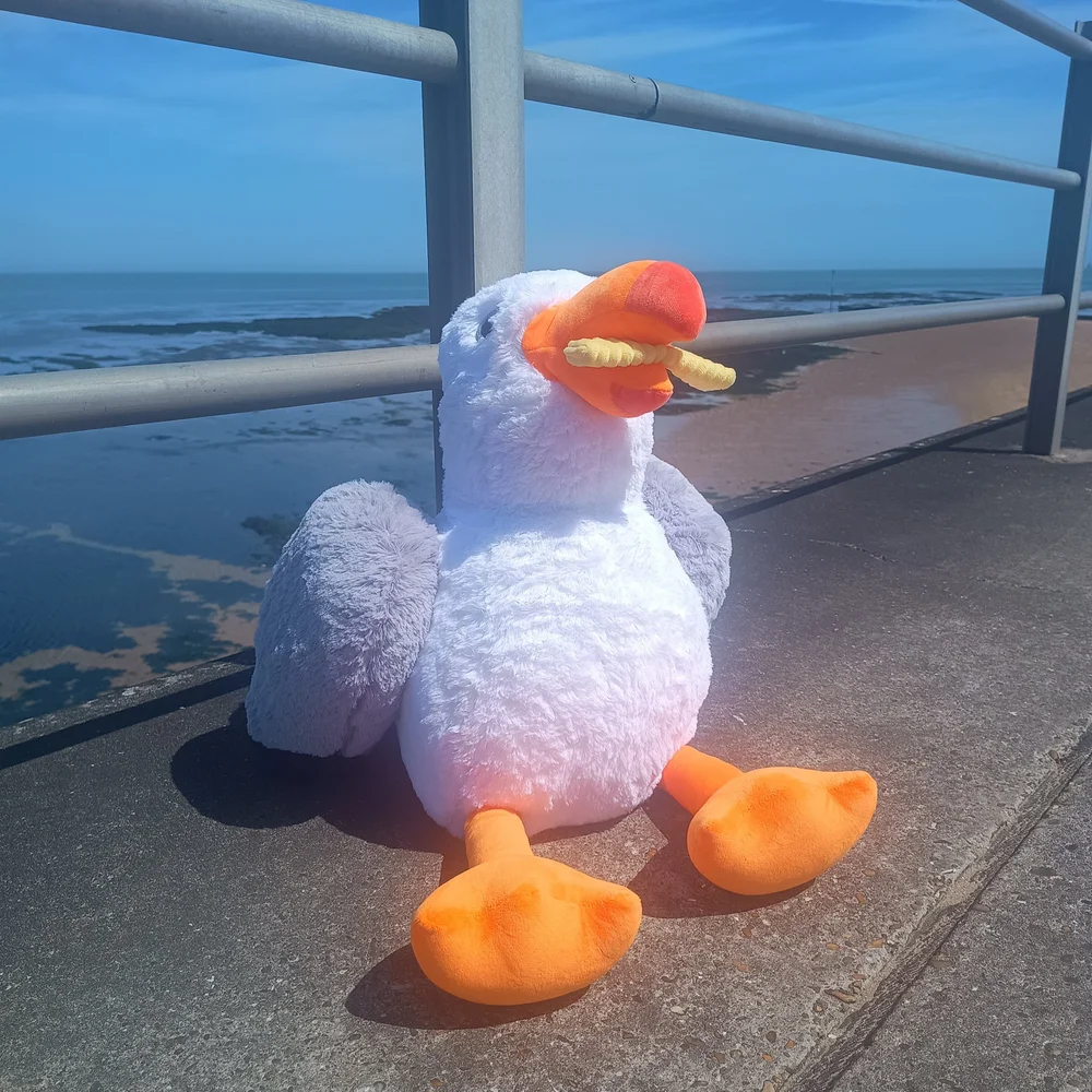 A Cheeky Seagull Takes Flight at Turner Contemporary — Beyond Words