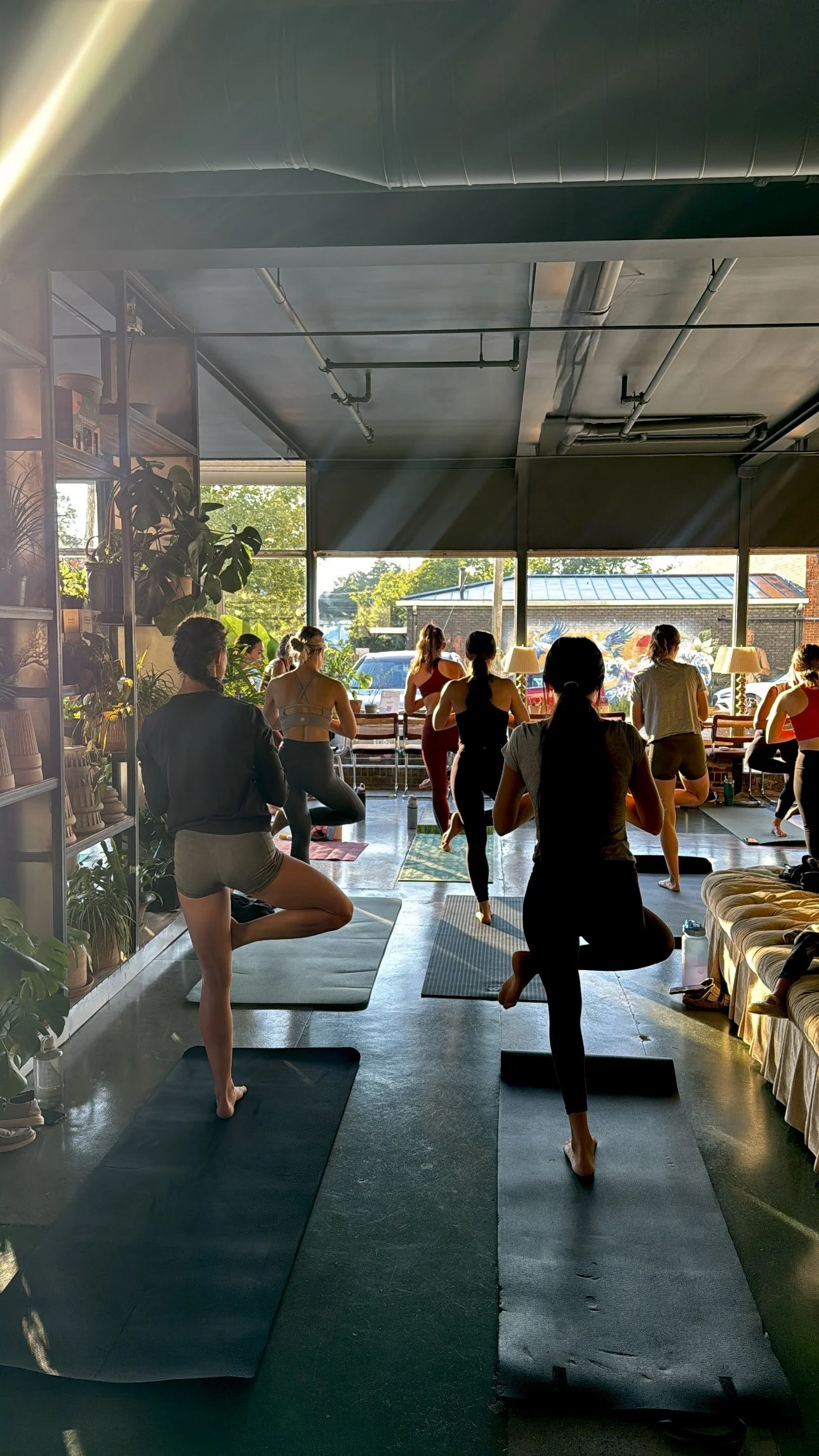 Palmera House | Lush Café, Lounge & Curated Boutique in Lynchburg, VA