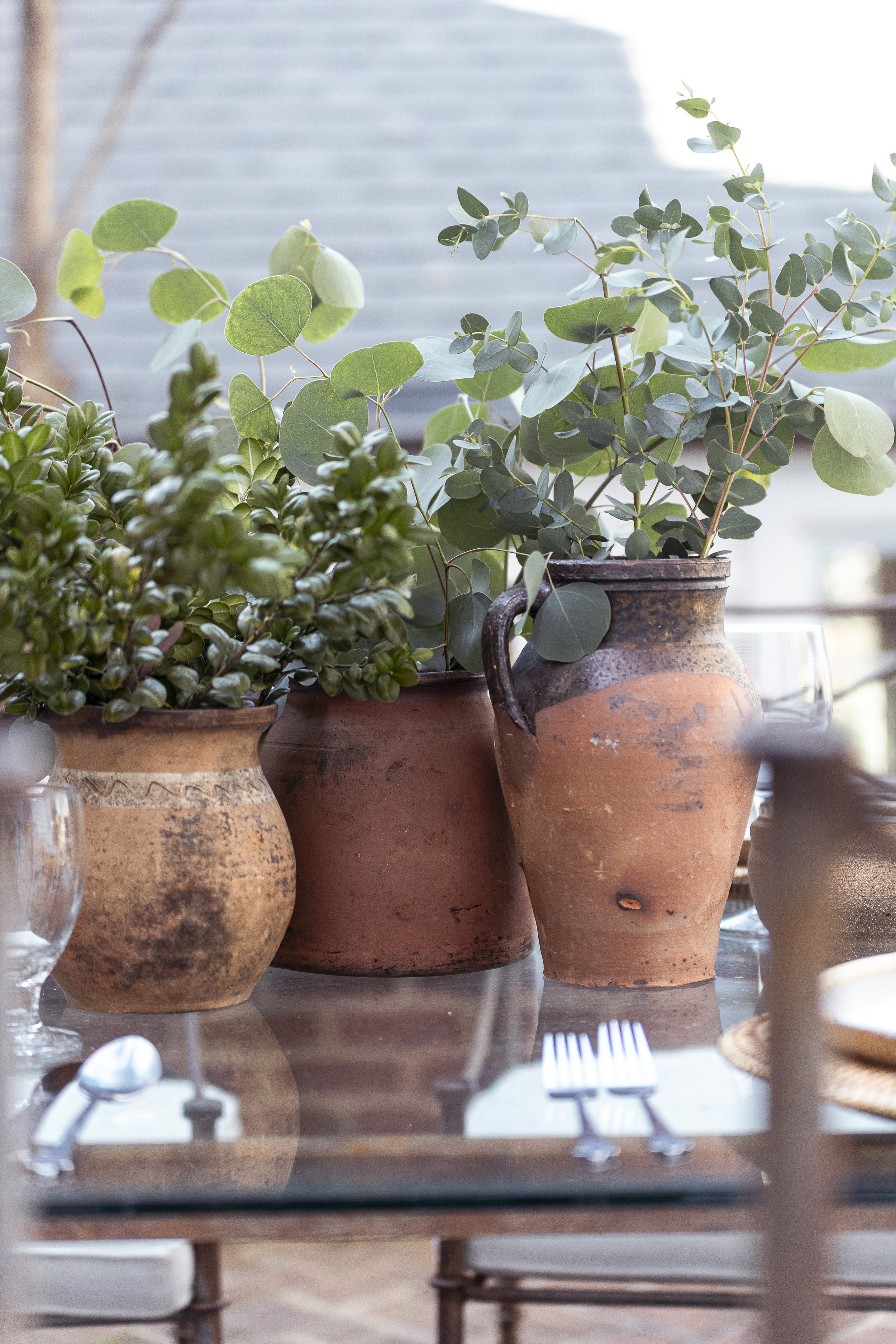 Palmera House | Lush Café, Lounge & Curated Boutique in Lynchburg, VA