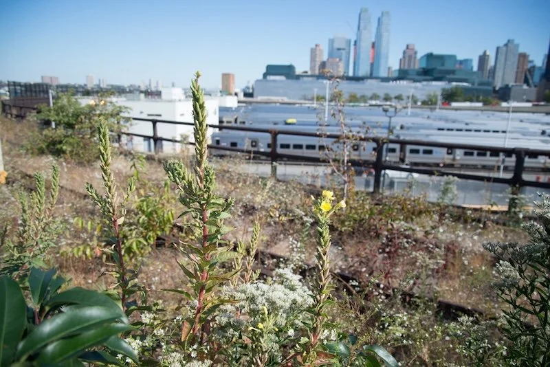 About — Protect The High Line