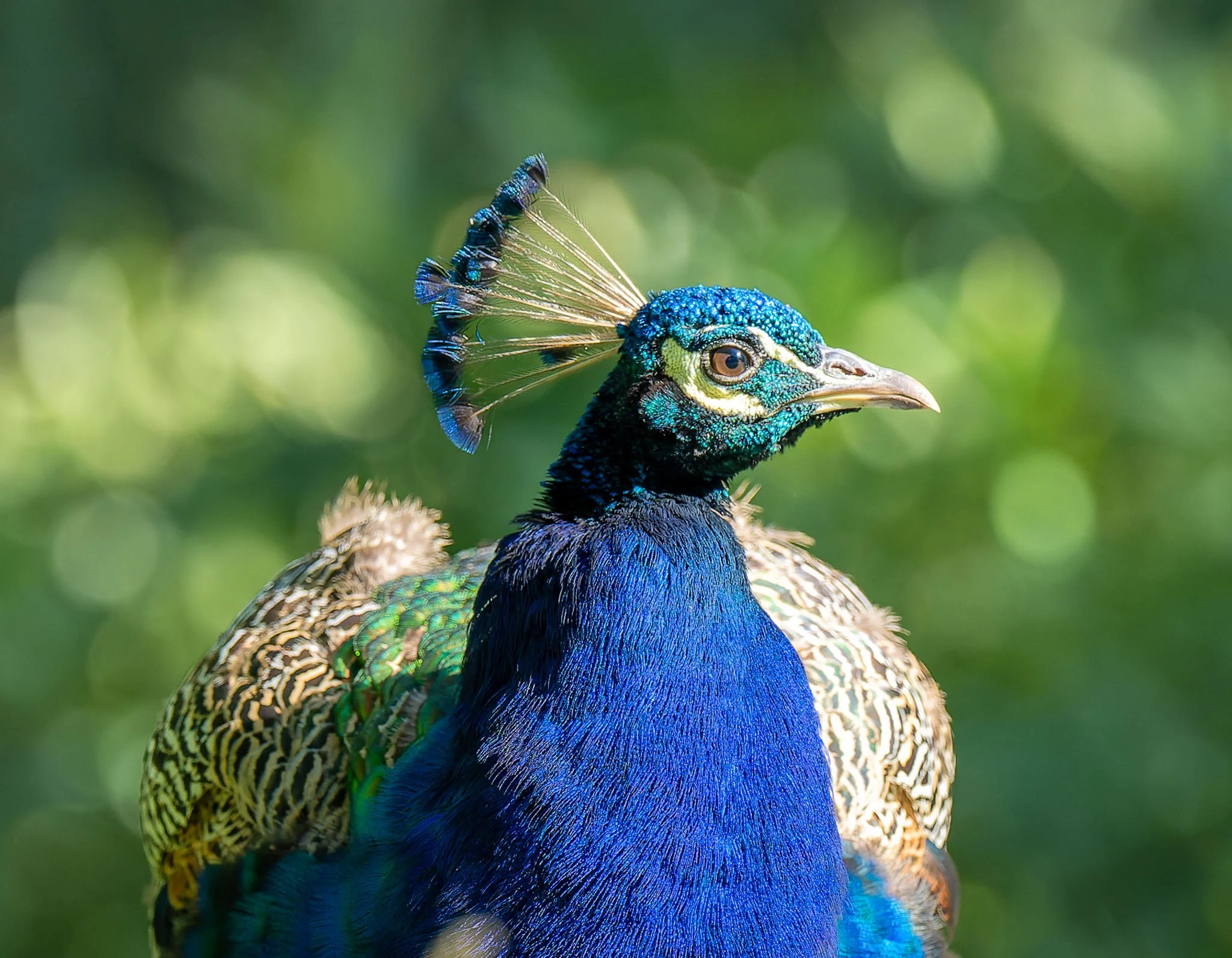 Galleries — Omaha Camera Club