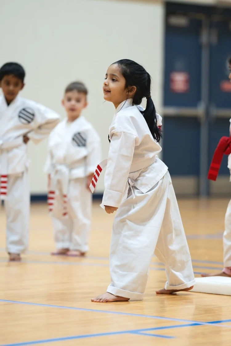 ILLINOIS SHOTOKAN KARATE CLUBS