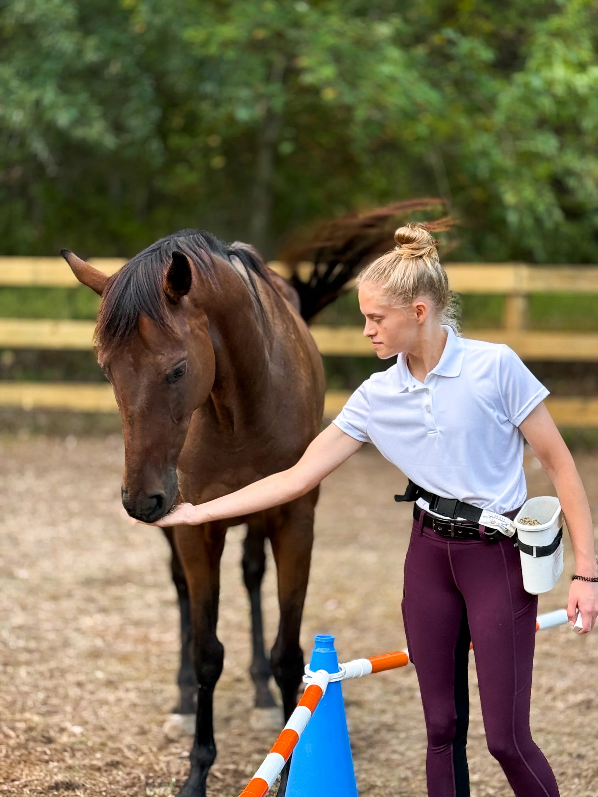Training — Quiet Bridge Equine