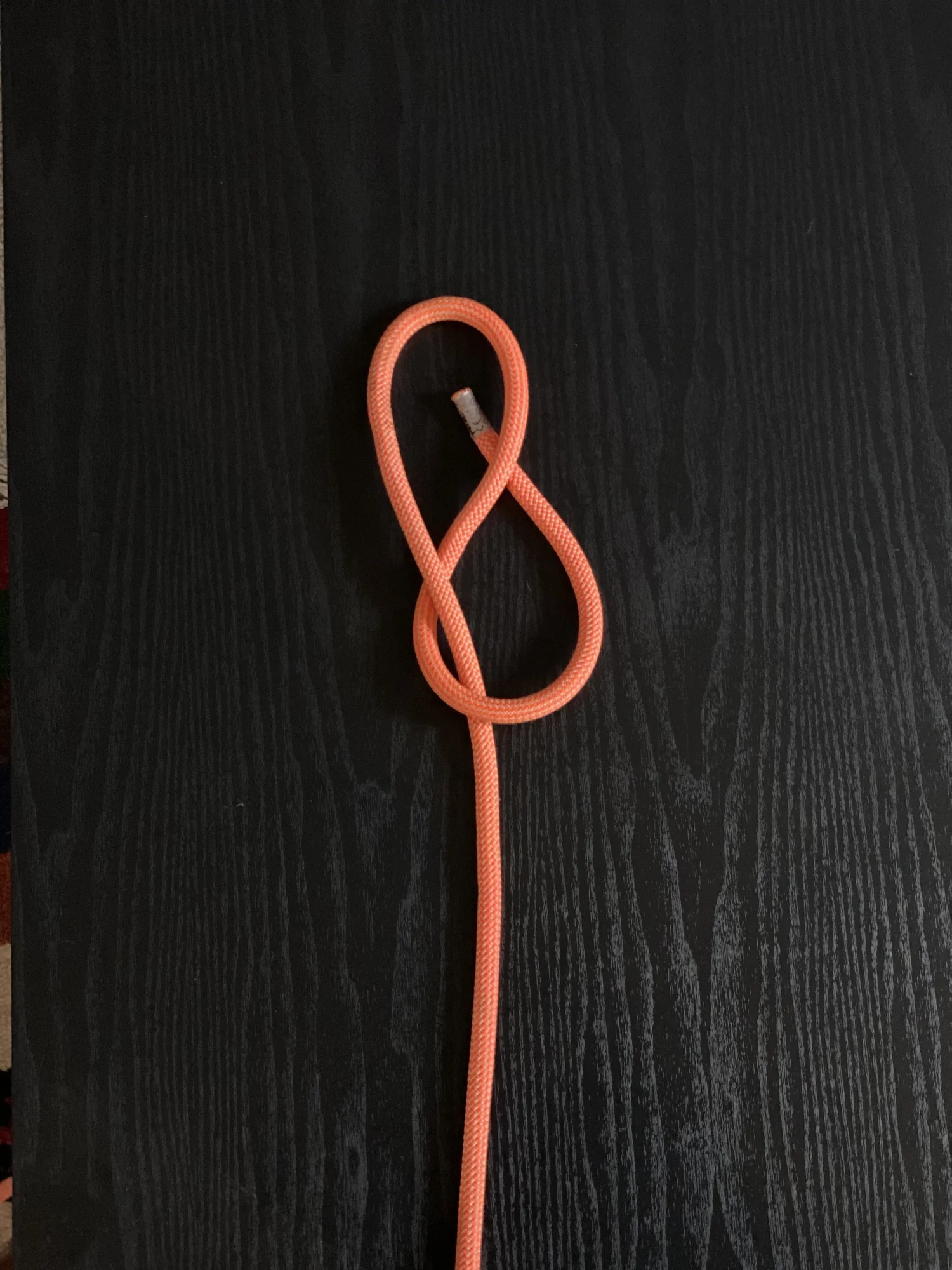 Lesson 3: Tying the Figure-8-Follow-Through Knot — Rope Wranglers
