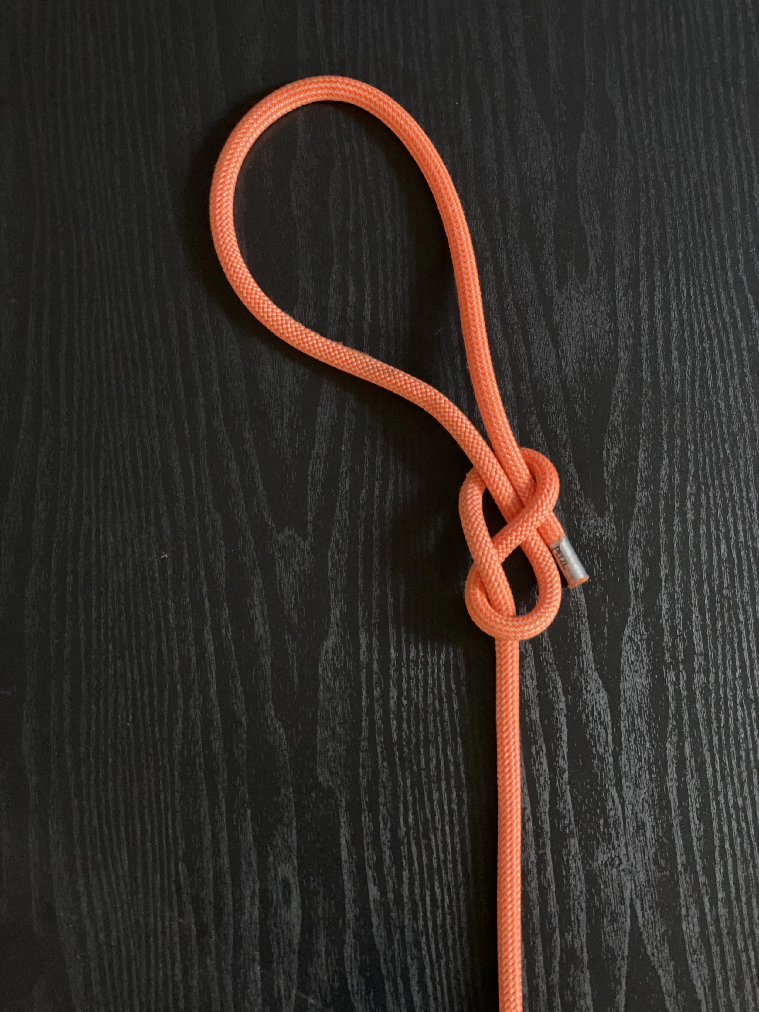 Lesson 3: Tying the Figure-8-Follow-Through Knot — Rope Wranglers