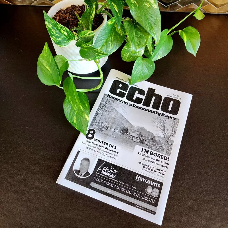 The Echo | Discover Local Stories — Join the Community