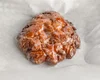 Orion Donuts