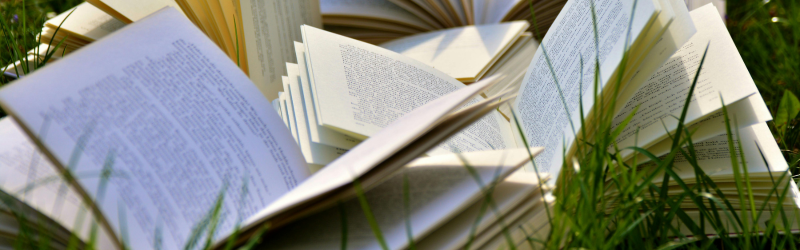 Book an Adventure: The Cycle of Sharing Stories & Knowledge — Zikkies ...
