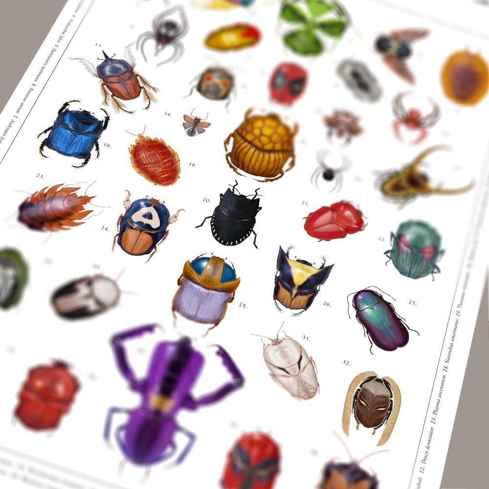 Arthropoda iconicus — Richard Wilkinson Illustration