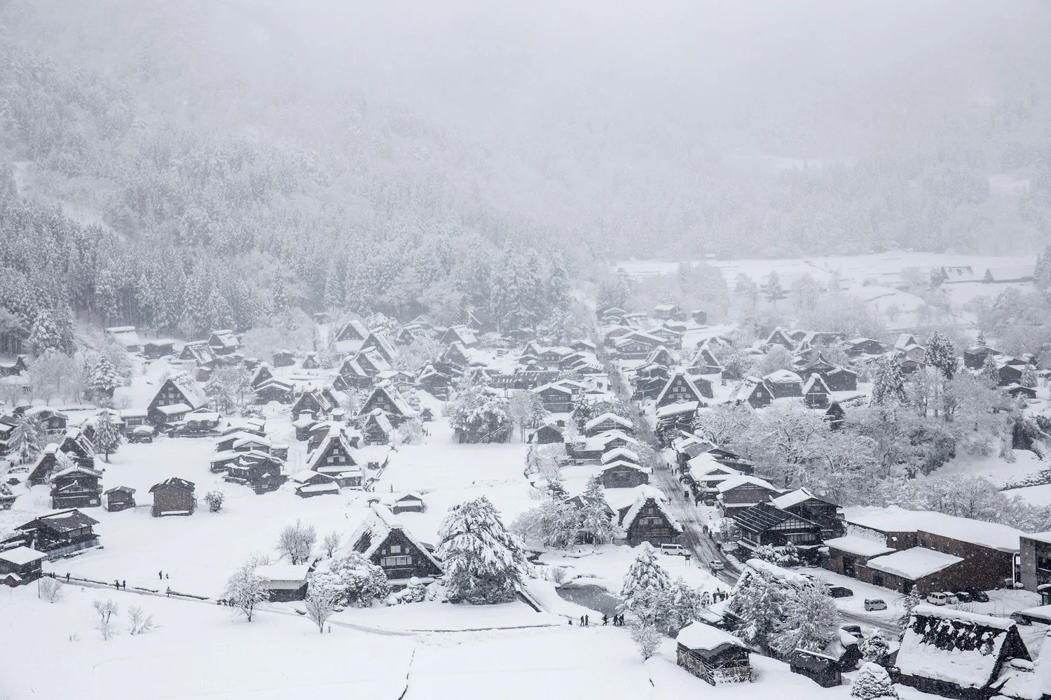Why Travel to Japan in Winter? | Japan Travel Pros