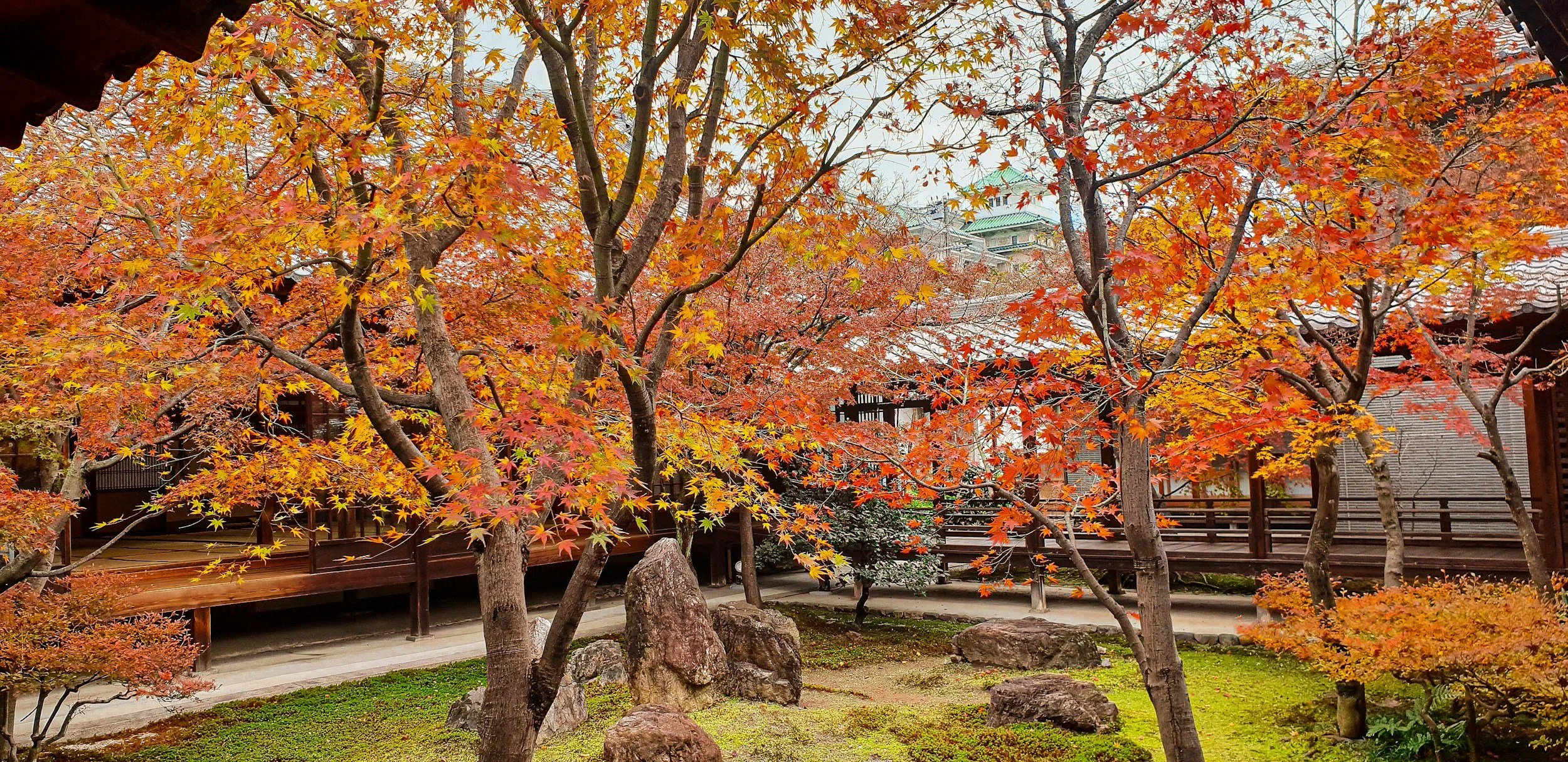 Best Autumn Colors in Kyoto & Fall Day Trips | Japan Travel Pros