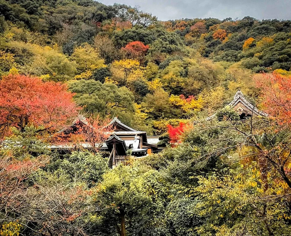 Fall Colors In Japan - Why Autumn Foliage Is Special Here | Japan ...