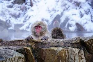 Onsen: Soaking in Japan's Hot Spring Culture | Japan Travel Pros