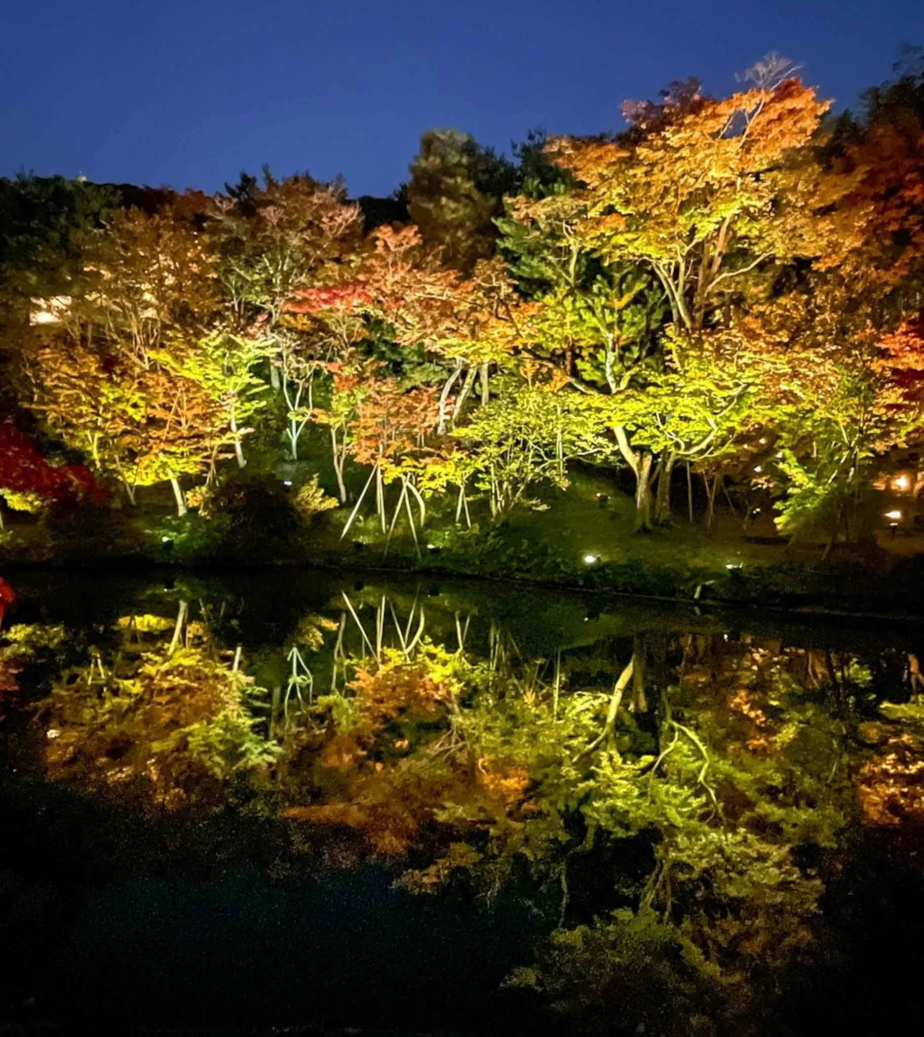 Fall Colors In Japan - Why Autumn Foliage Is Special Here | Japan ...