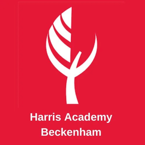 Harris Academy Beckenham — Kinetic Foundation